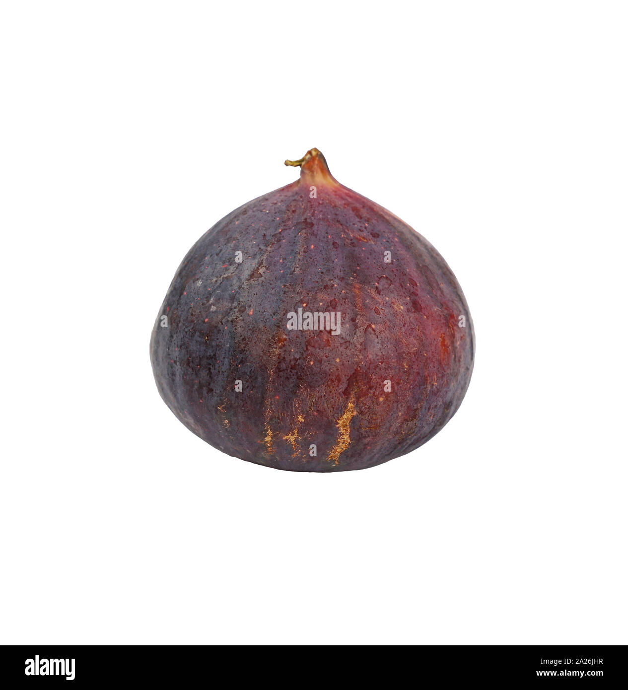 Close up one fresh whole ripe fig fruit isolated on white background ...