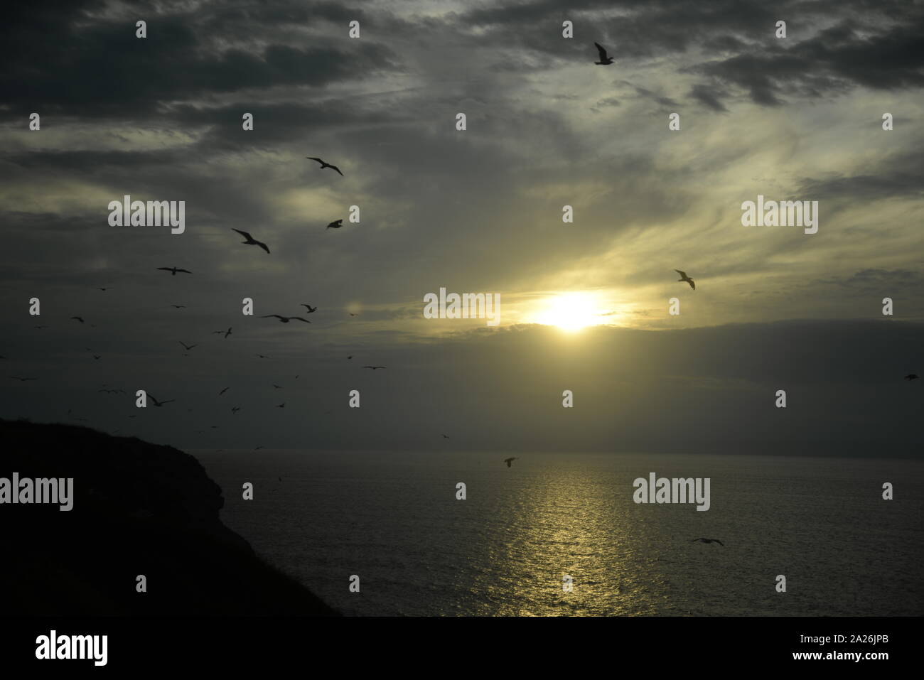 Decorative basque hi-res stock photography and images - Alamy