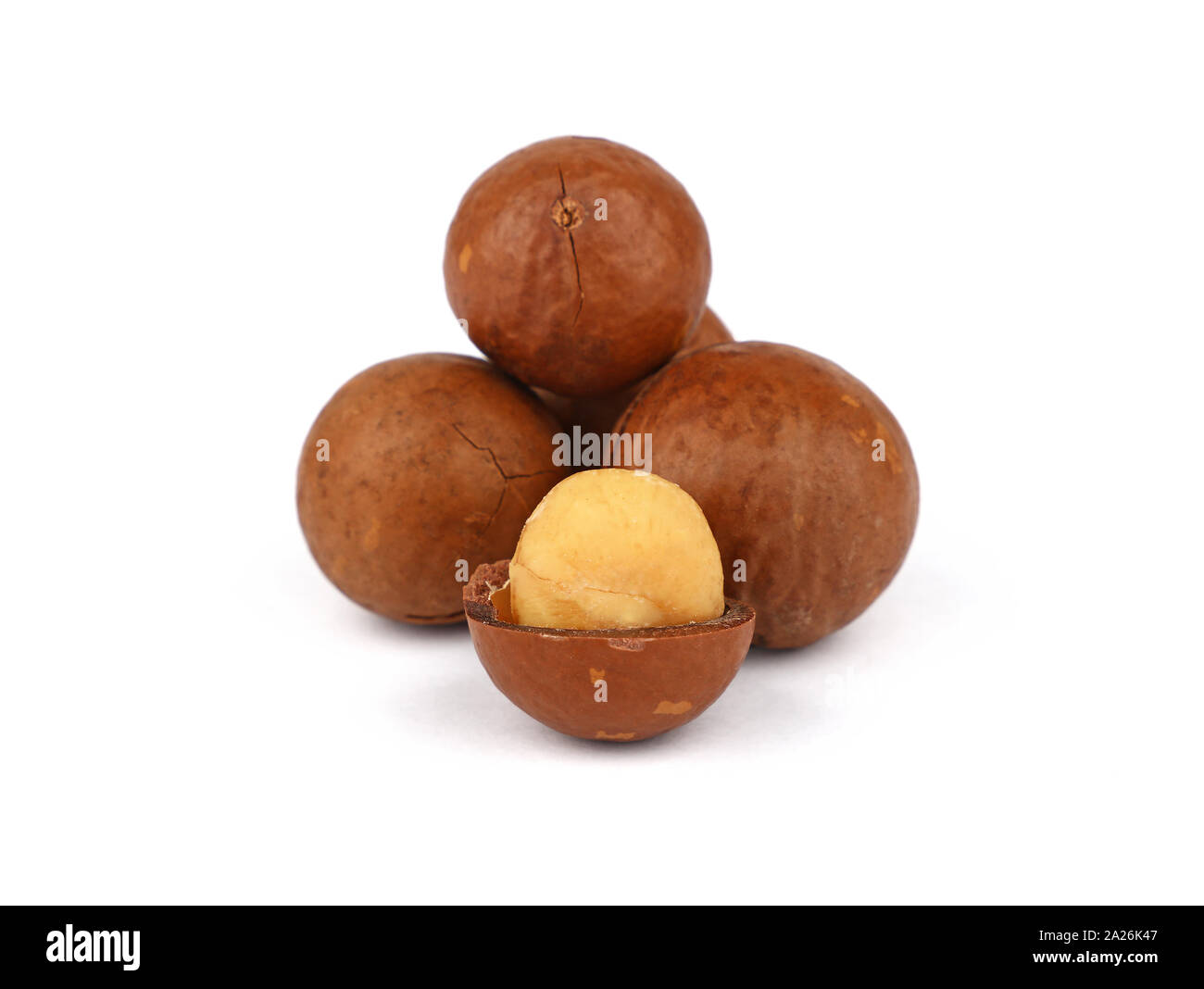 Close up group of several unshelled macadamia nuts and one open kernel ...