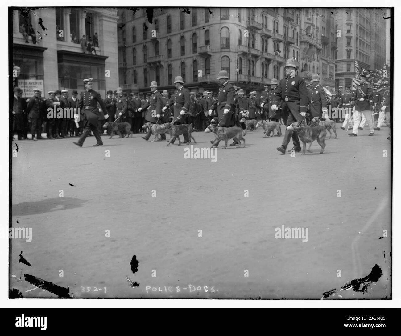 Police with dogs Cut Out Stock Images & Pictures - Alamy