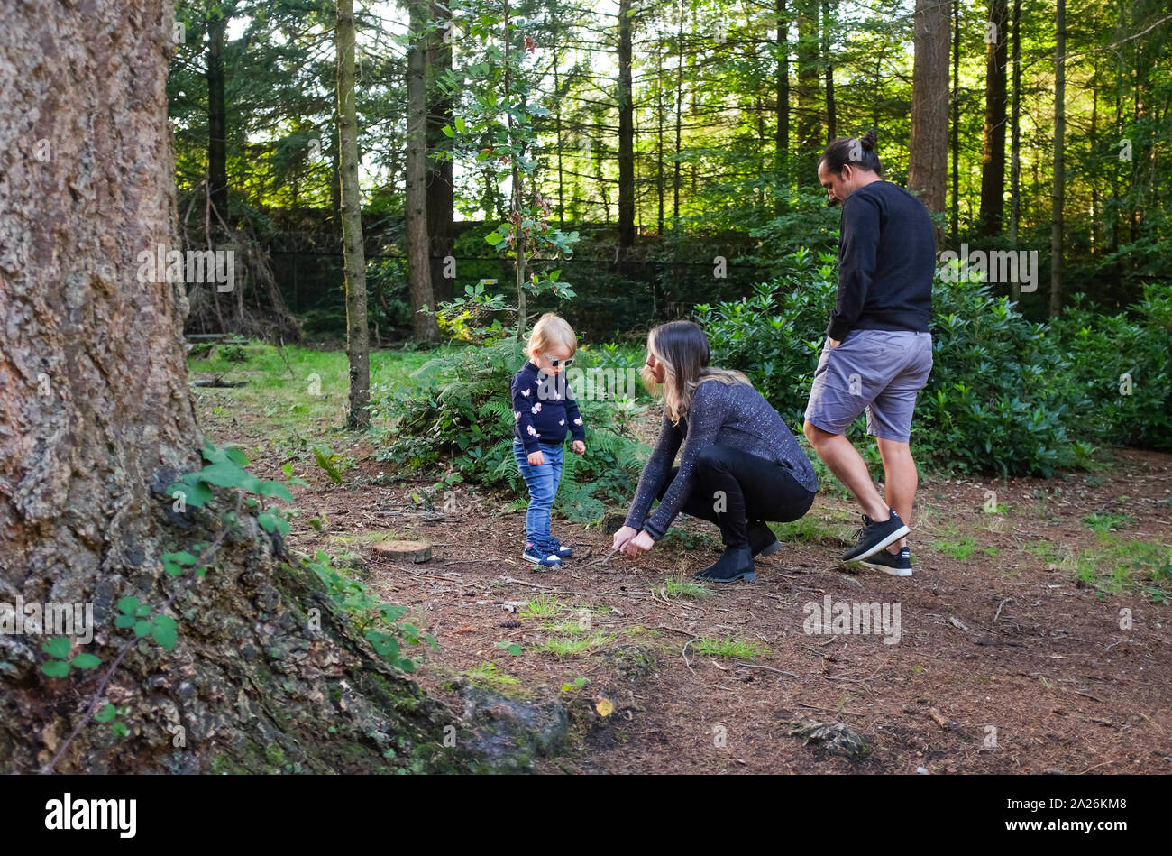 Center parcs longleat forest hi-res stock photography and images - Alamy