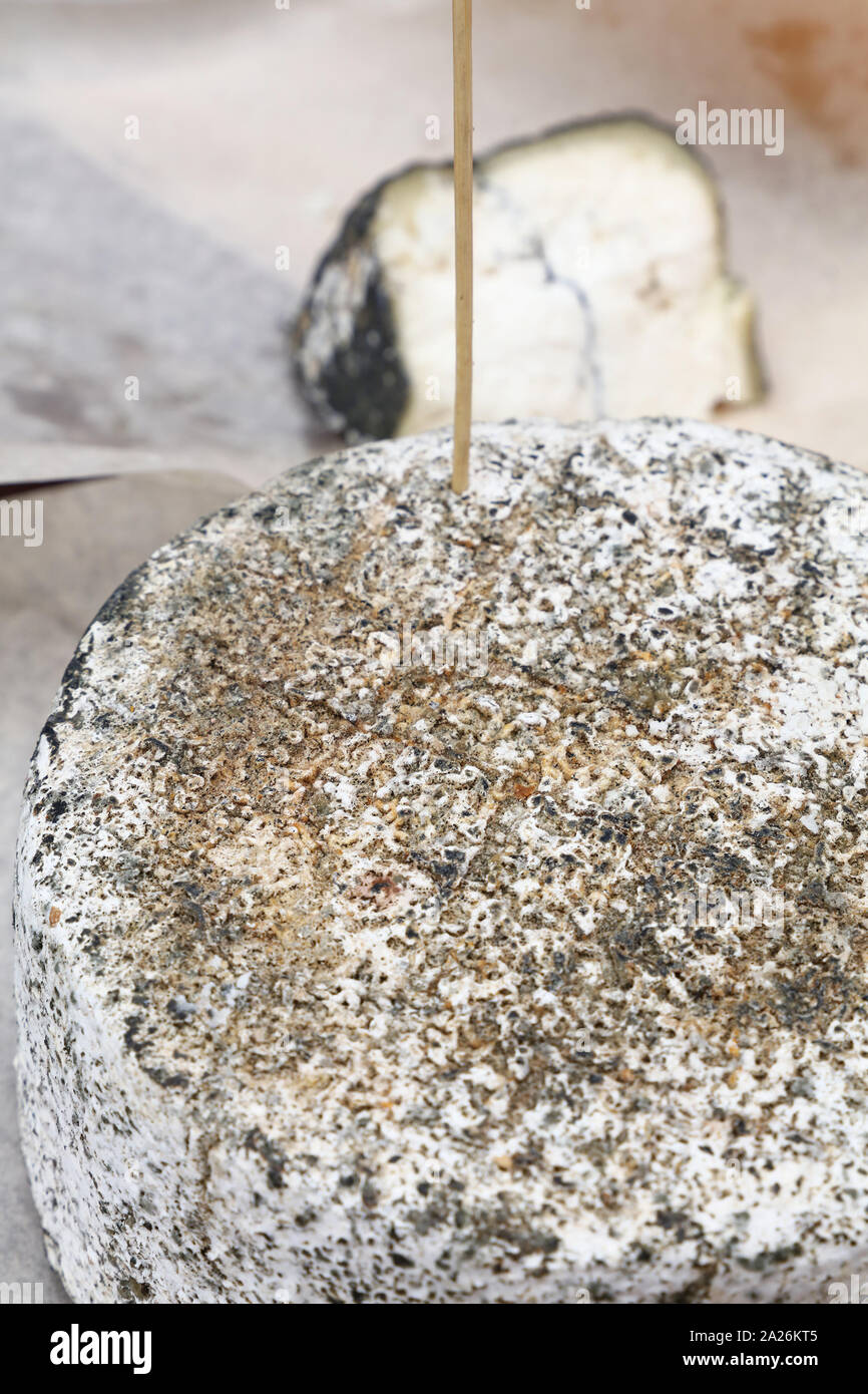 Close up one wheel of white mould goat cheese at retail display, high ...