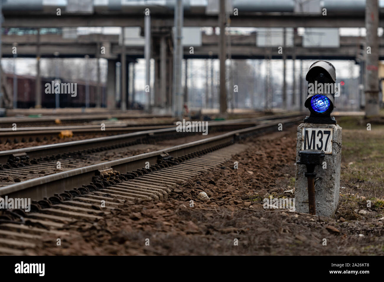 Semaphore with burning blue light. The intersection of railway tracks ...