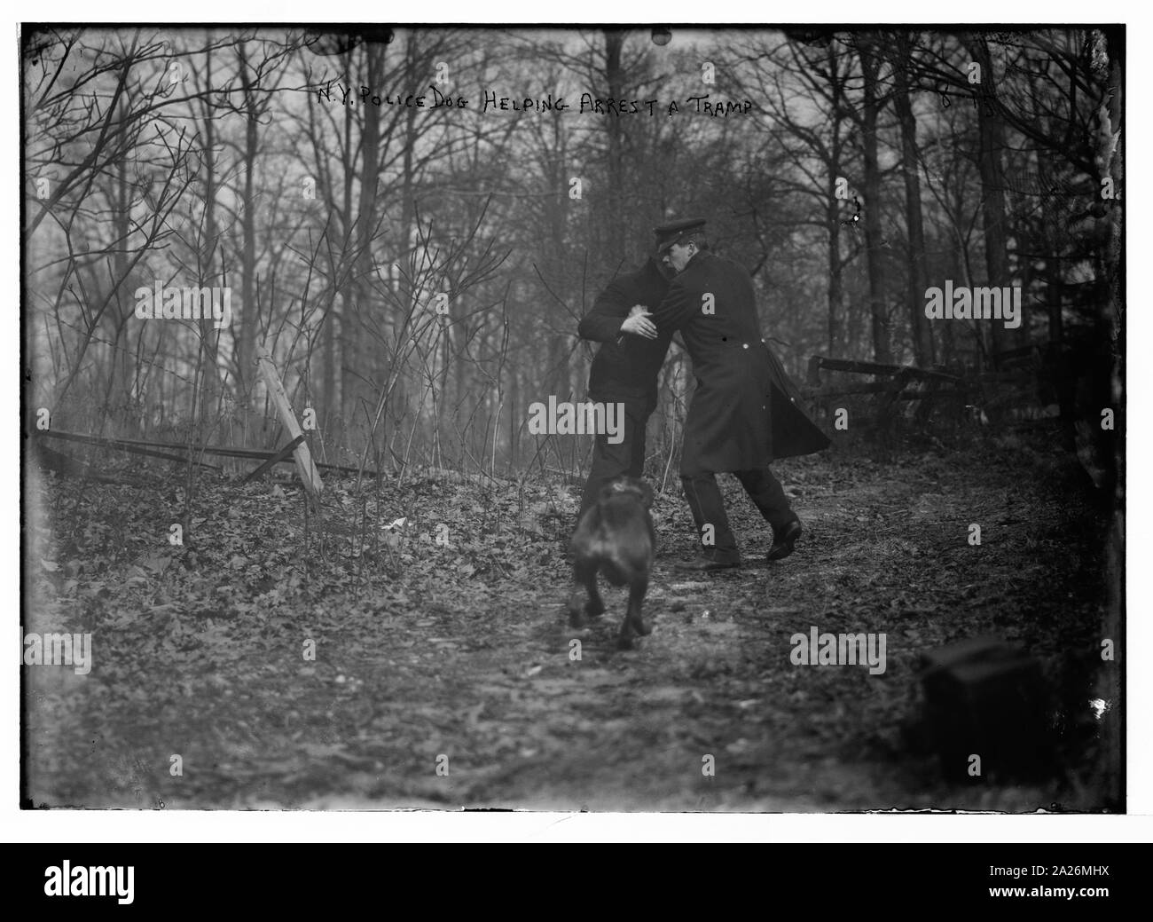 Policeman, police dog, arresting tramp, New York City Stock Photo - Alamy