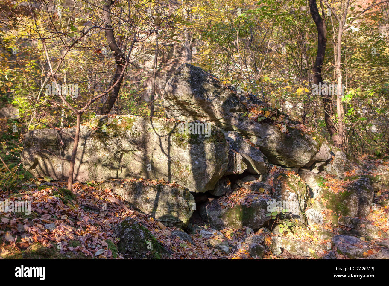 Big rocks in woods hi-res stock photography and images - Alamy