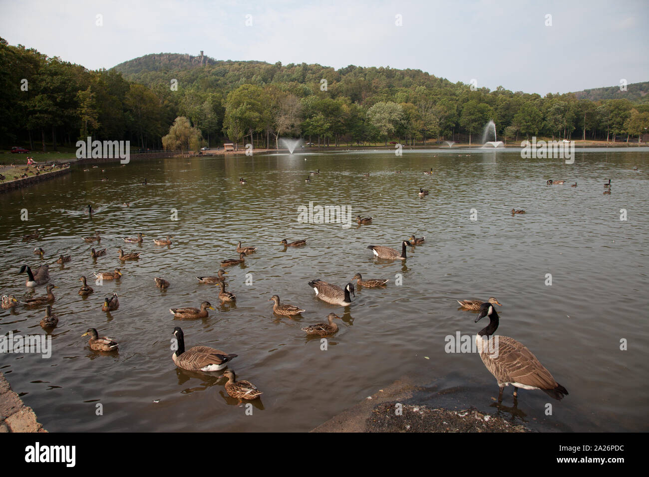 Meriden park hi-res stock photography and images - Alamy