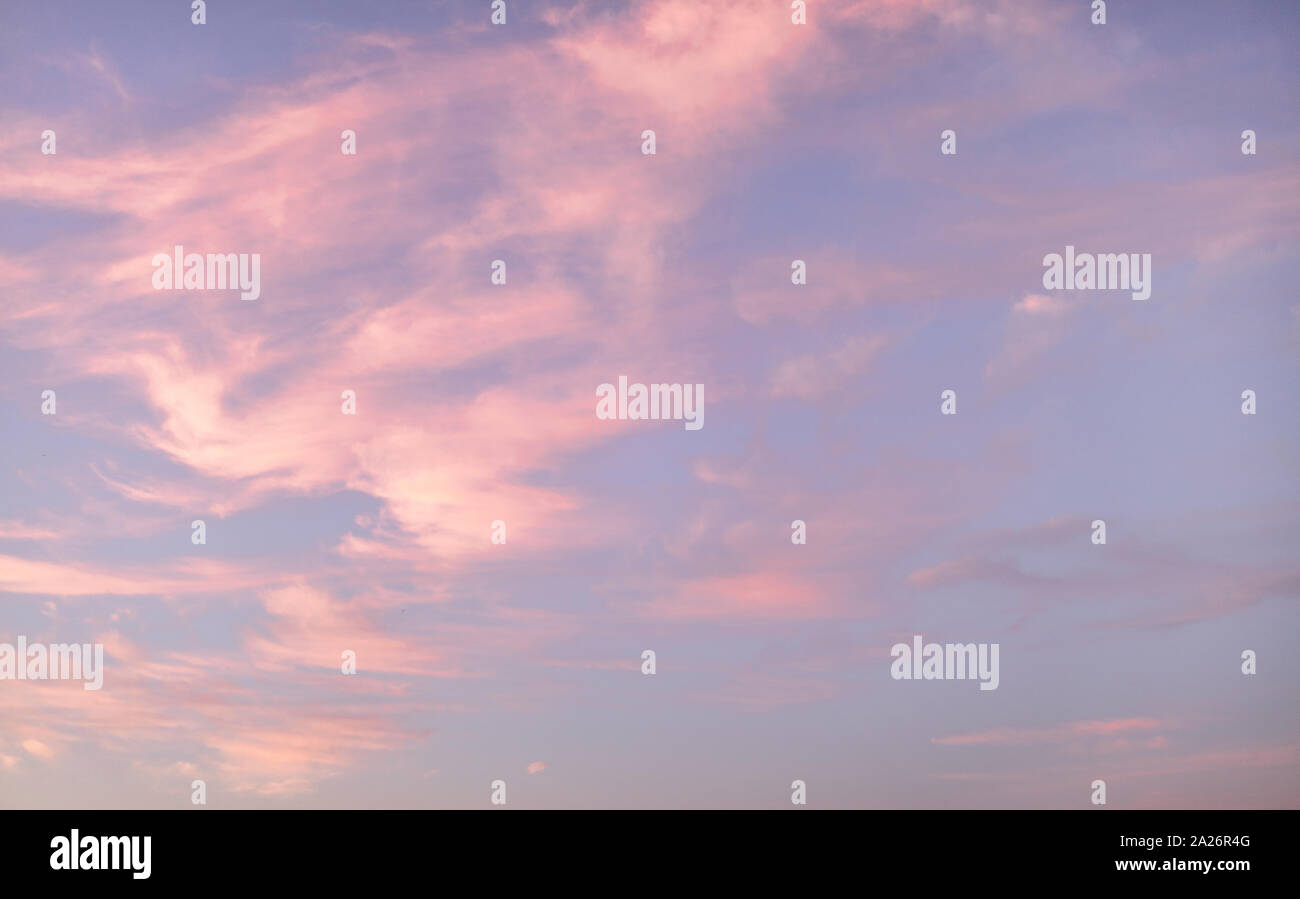 Beautiful pink clouds during sunset, blue sky with clouds background ...