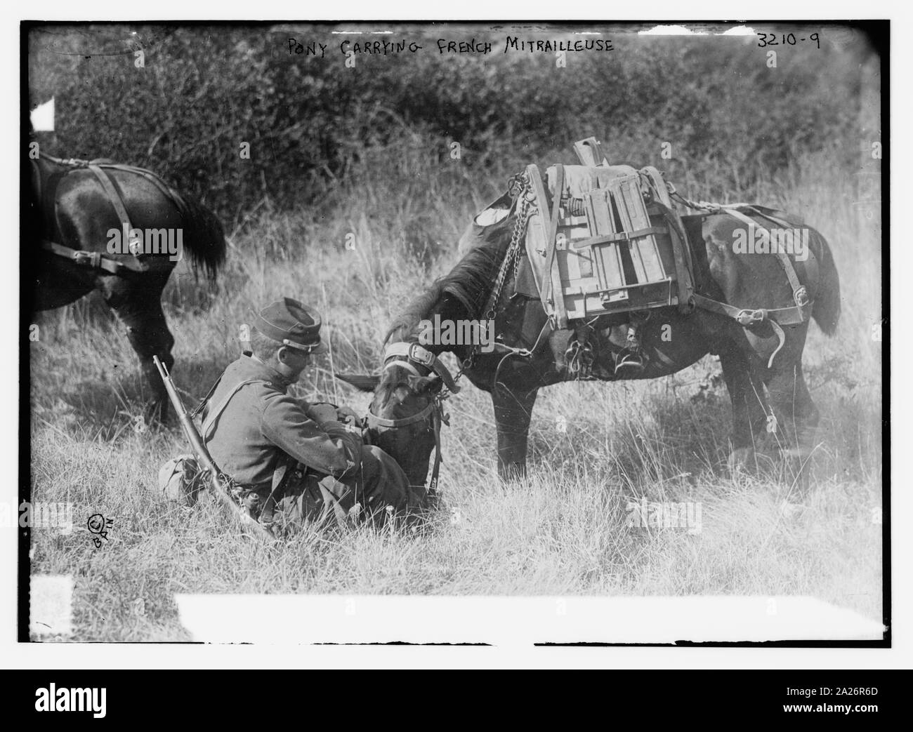 Weapon carrying Black and White Stock Photos & Images - Alamy