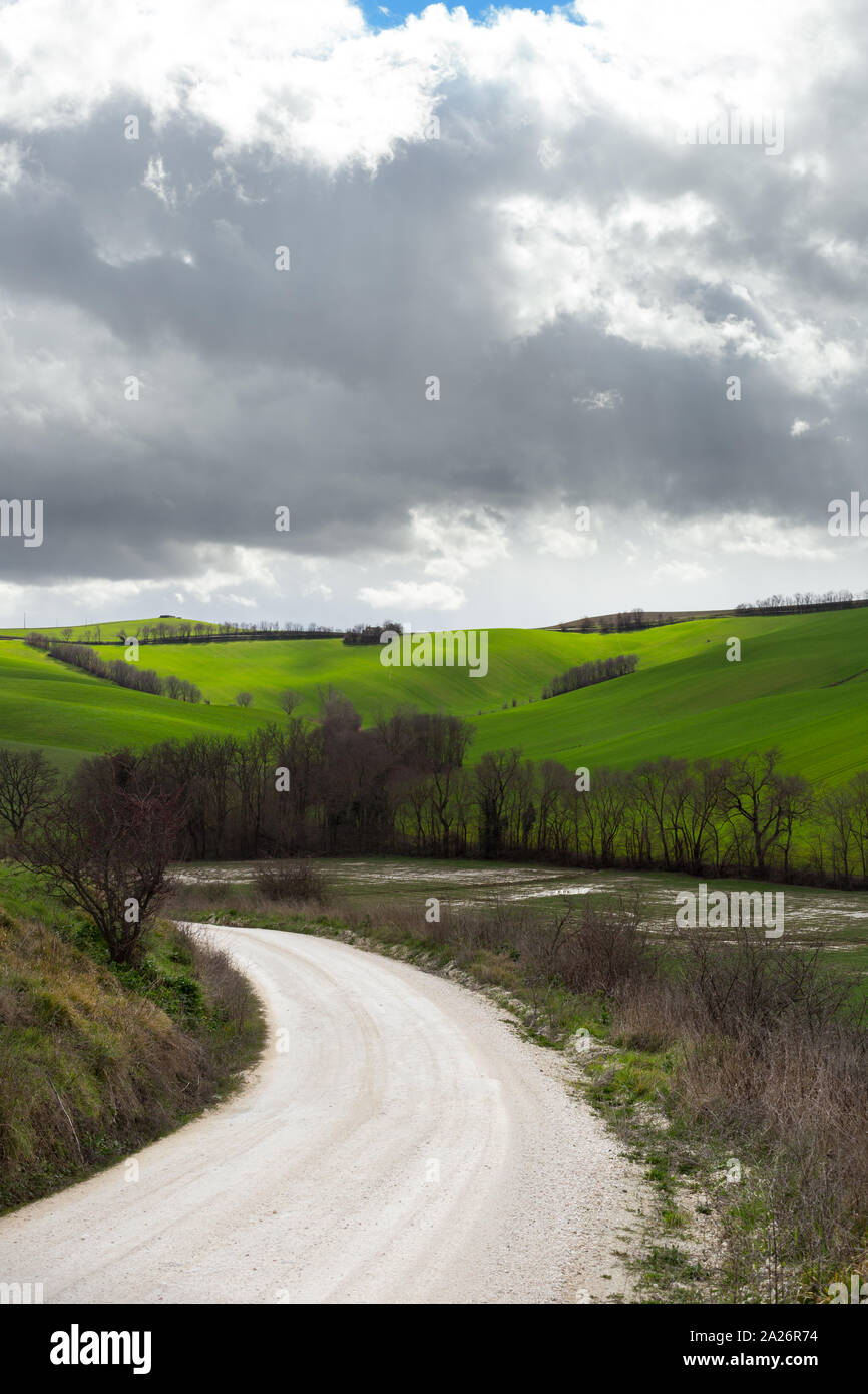 Spring rural landscape, green fields of wheat and cloudy sky Stock ...