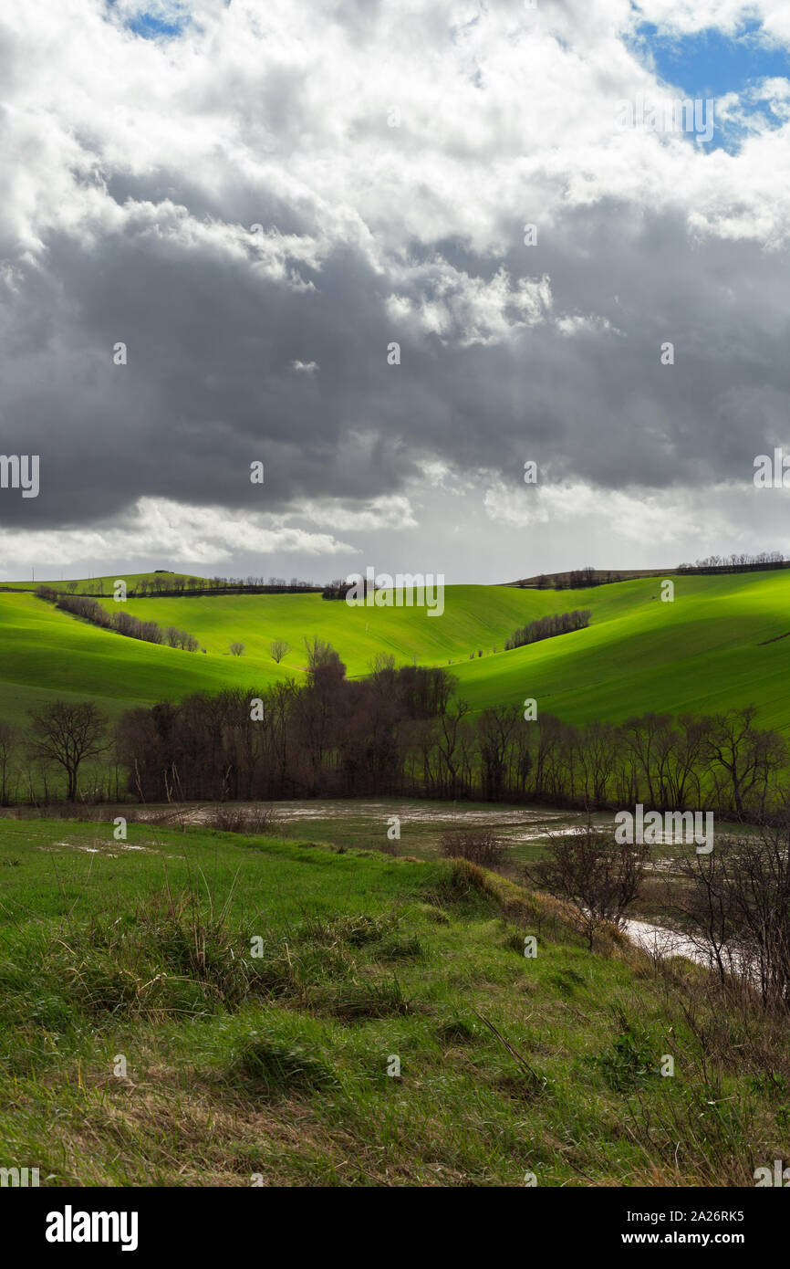 Spring rural landscape, green fields of wheat and cloudy sky Stock ...