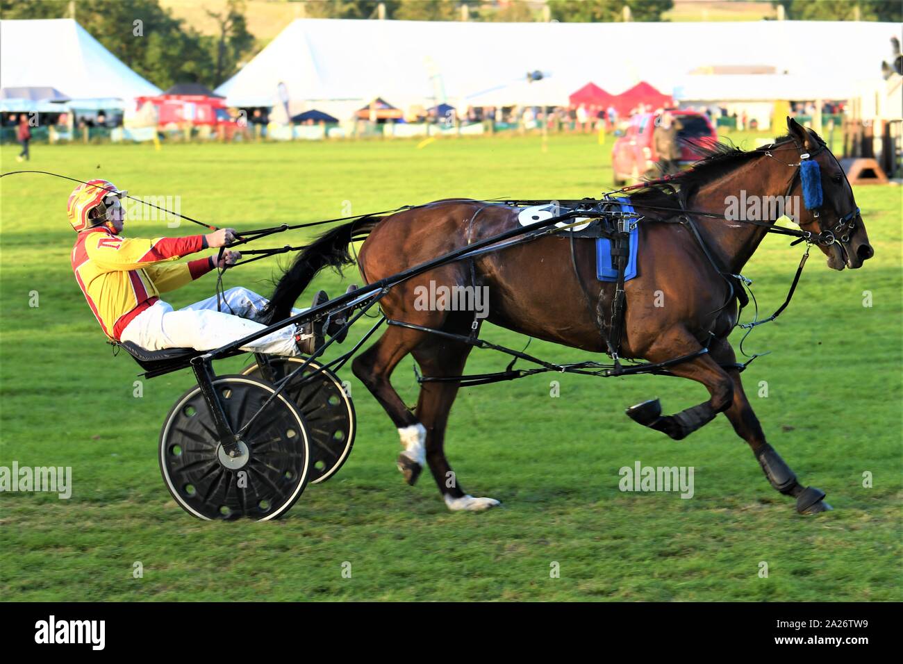 Scott murray hi-res stock photography and images - Alamy