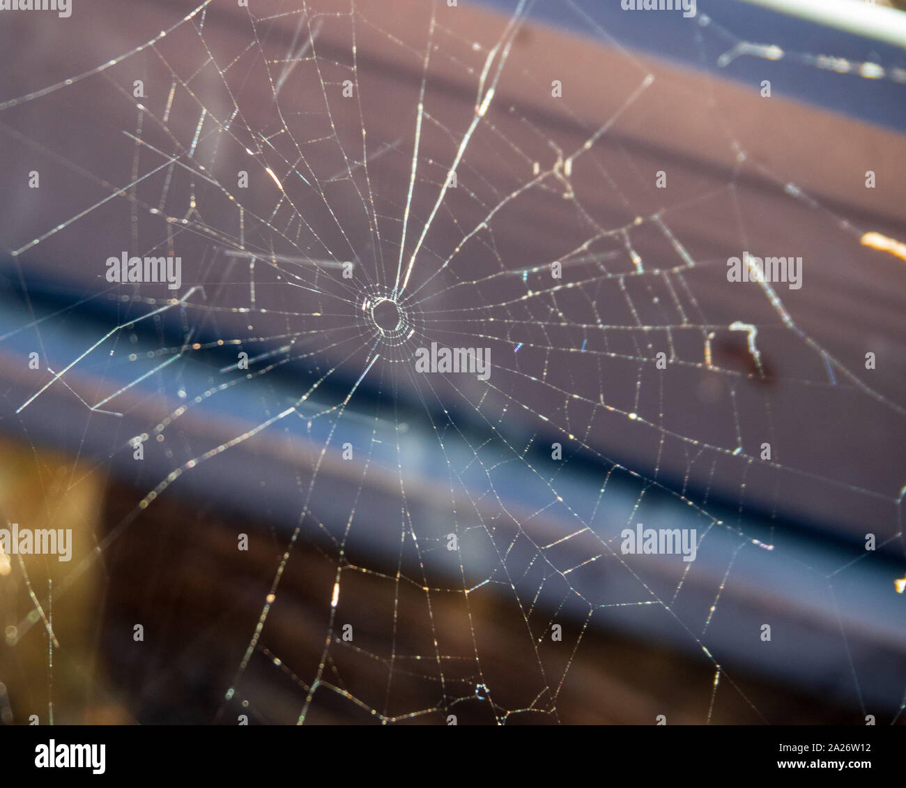 Silver spider webs hi-res stock photography and images - Alamy