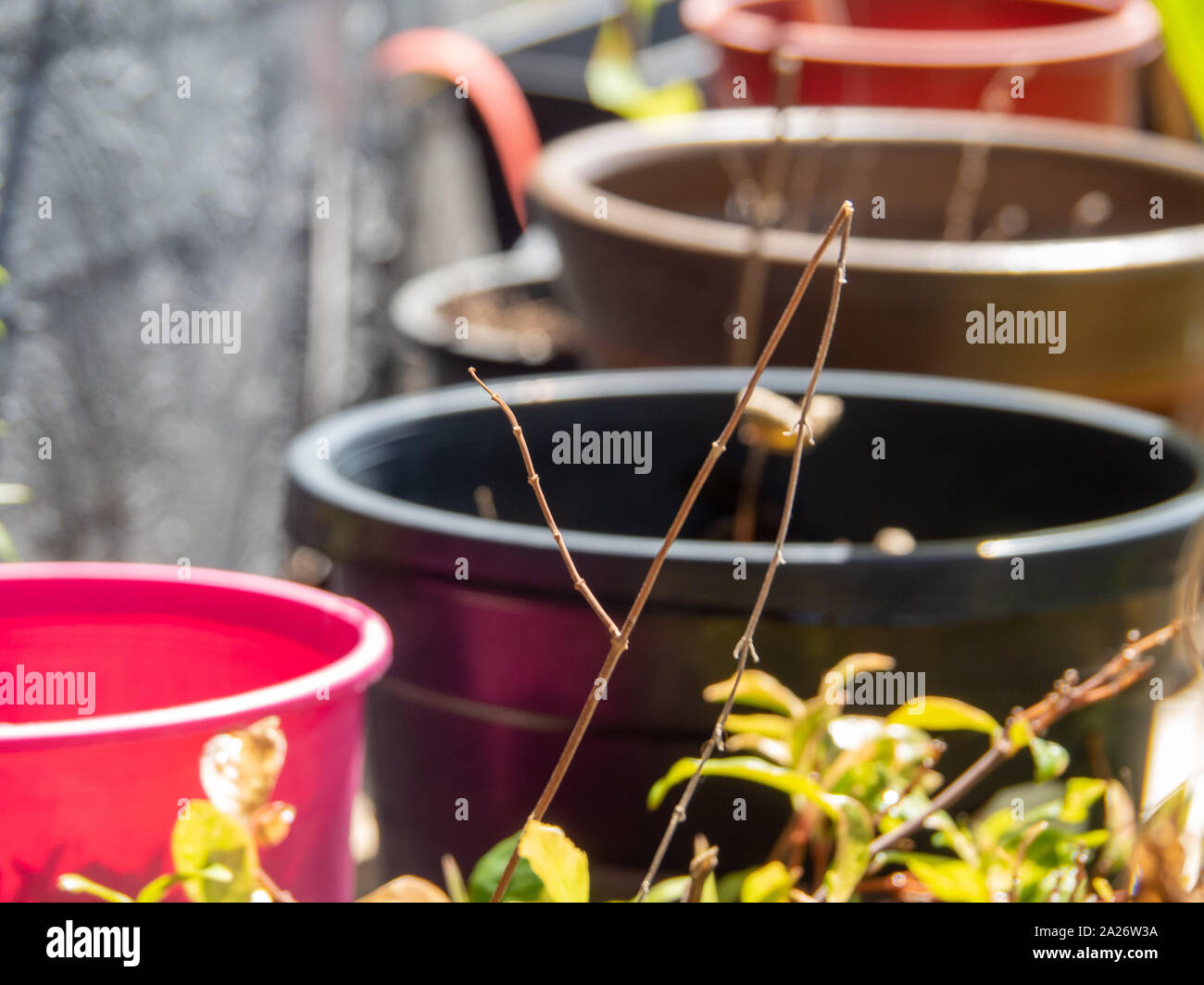 Flower pots in various states of disarray Stock Photo - Alamy