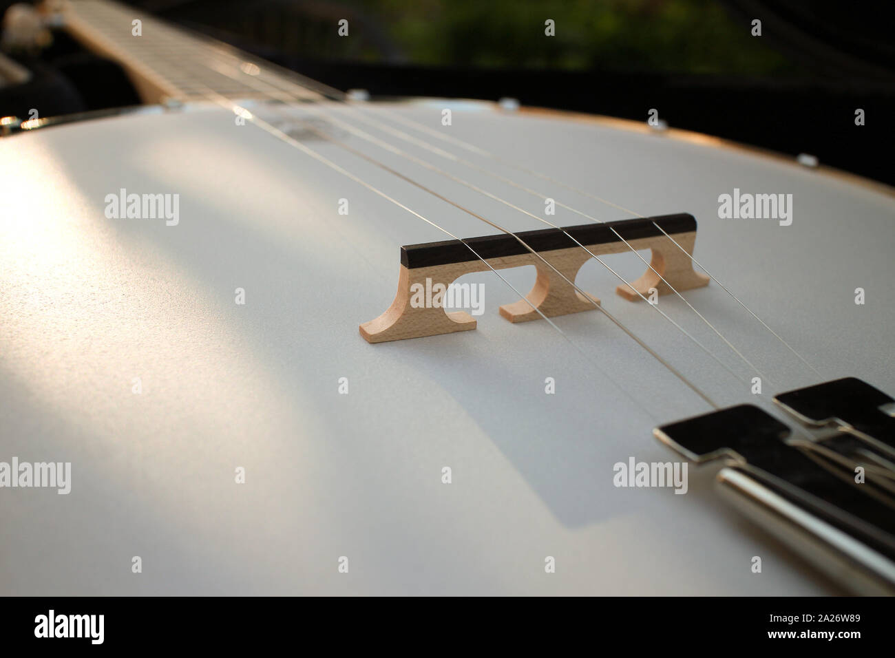 banjo strings and bridge close-up in the evening natural light Stock ...