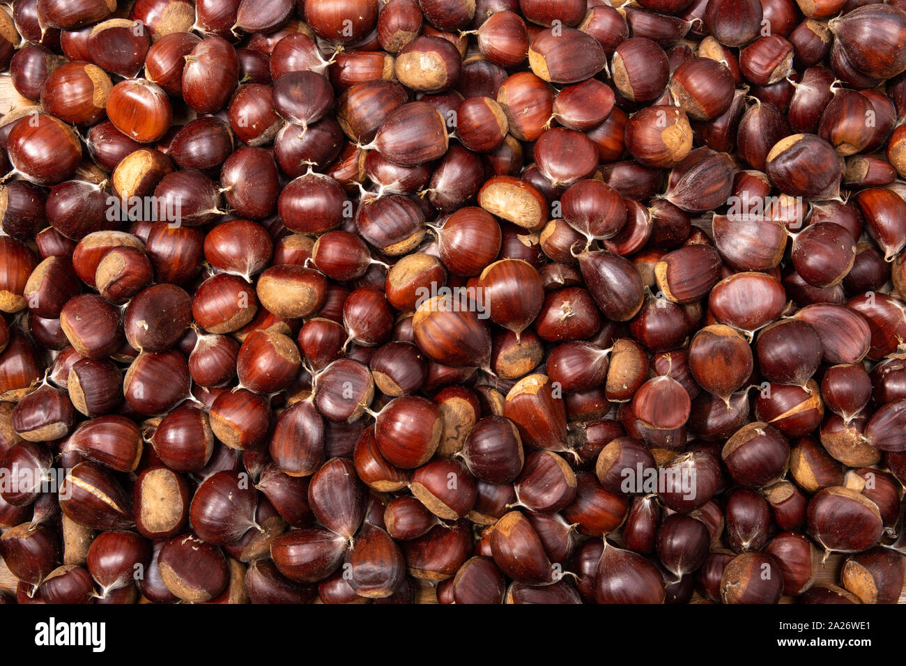 Sweet Chestnut background. Top view. Castanea sativa Stock Photo - Alamy