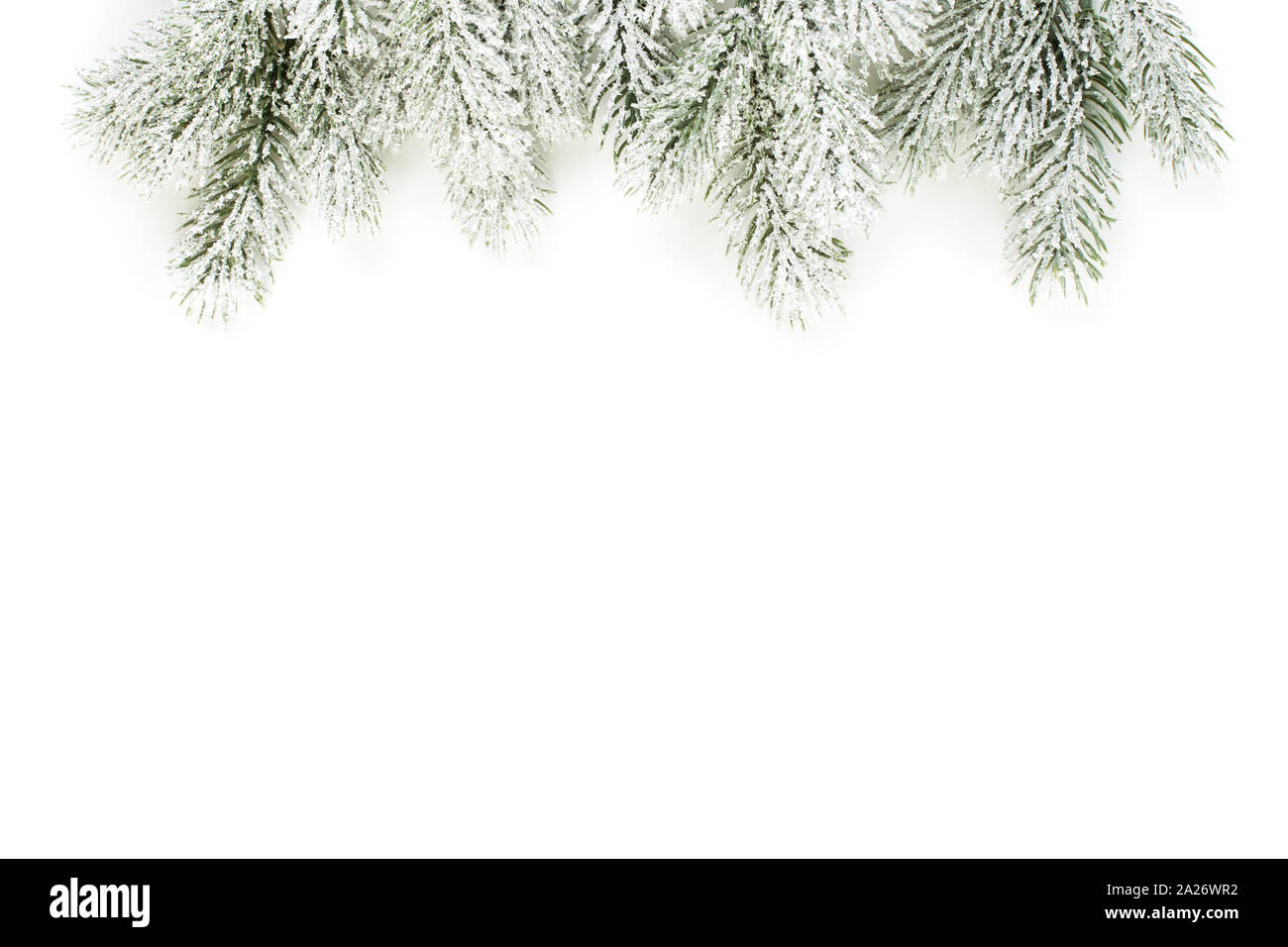 Christmas tree branch border. Winter evergreen fir twig isolated on ...