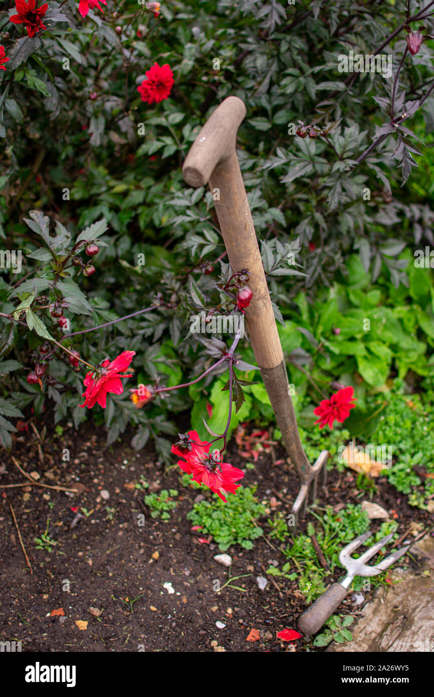 Rose fork garden soil hi-res stock photography and images - Alamy