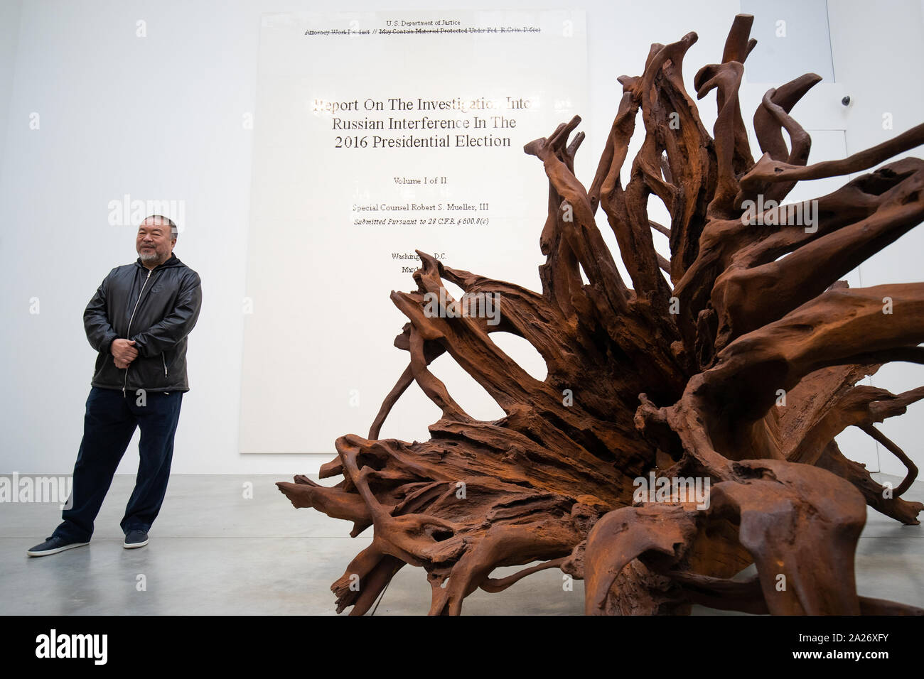 Ai Weiwei Exhibition In Dc
