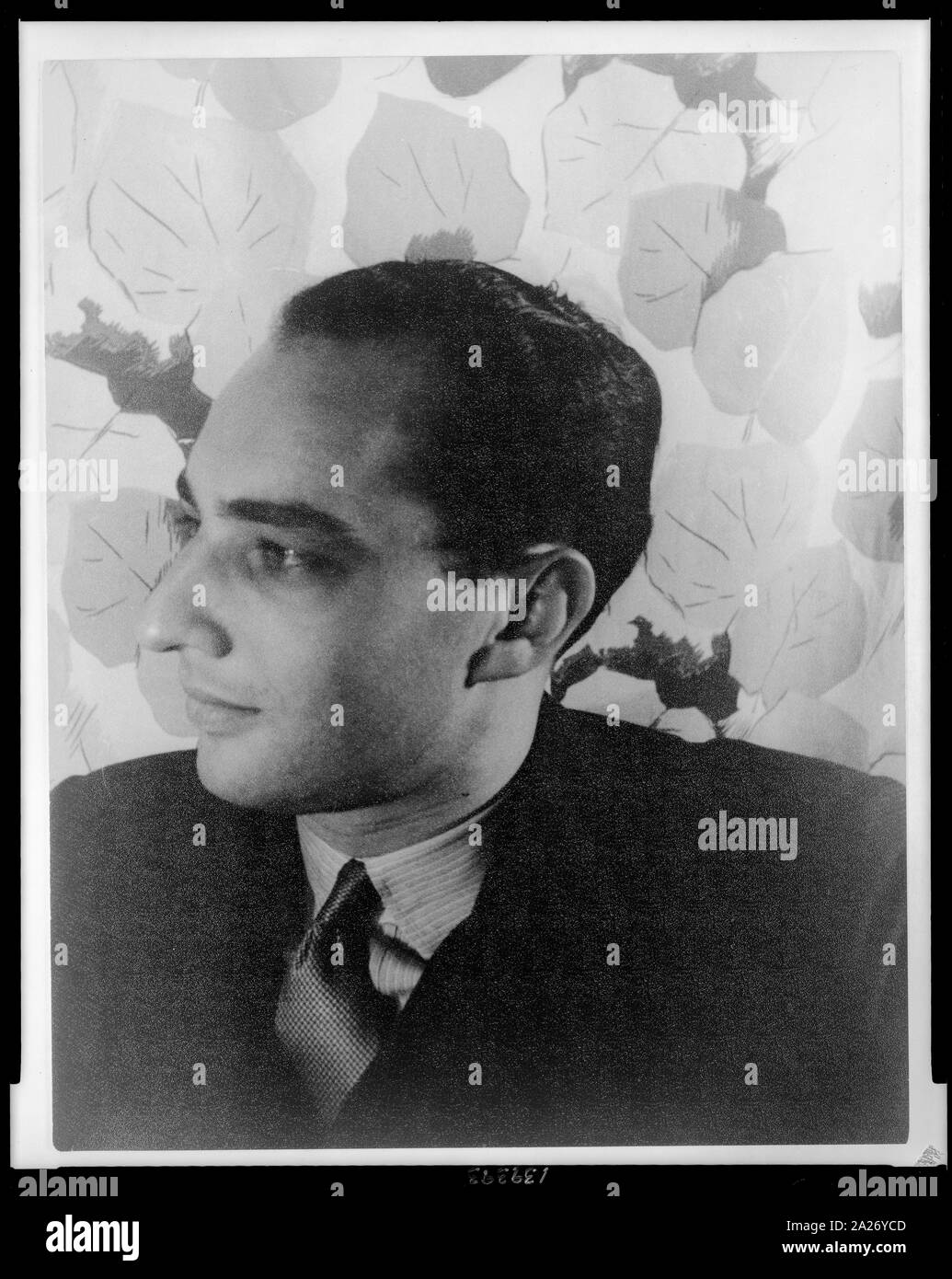 Arthur schwartz hi-res stock photography and images - Alamy