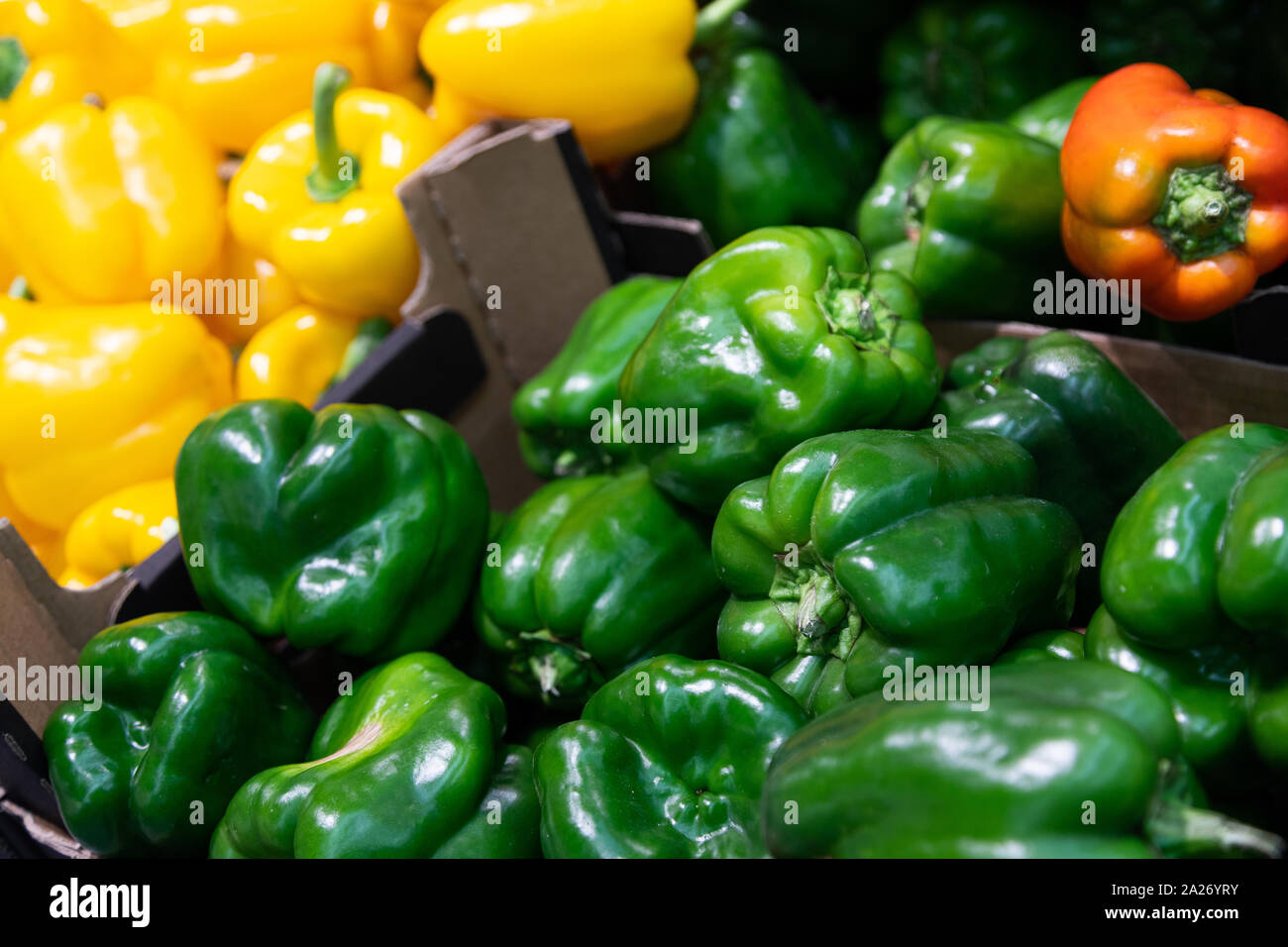 Close-up of fresh home-grown sweet pepper of green color in carton box ...