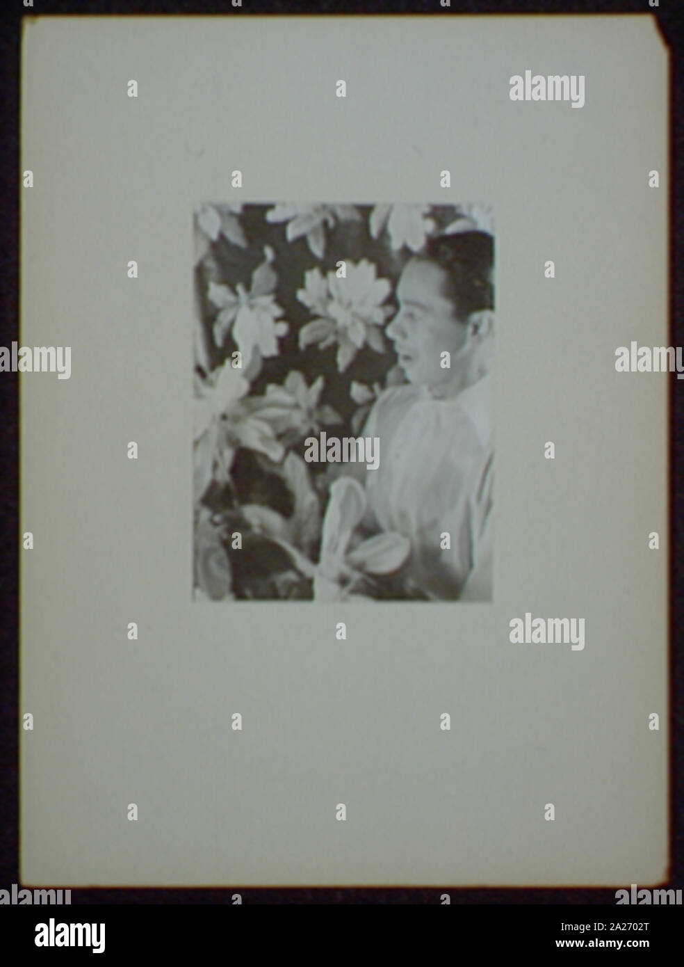 Portrait of cab calloway hi-res stock photography and images - Alamy