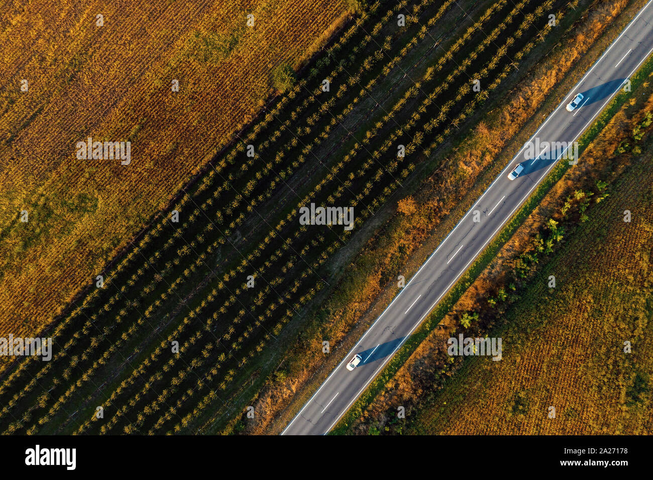 Aerial view of cars on the road through agricultural fields, top view ...