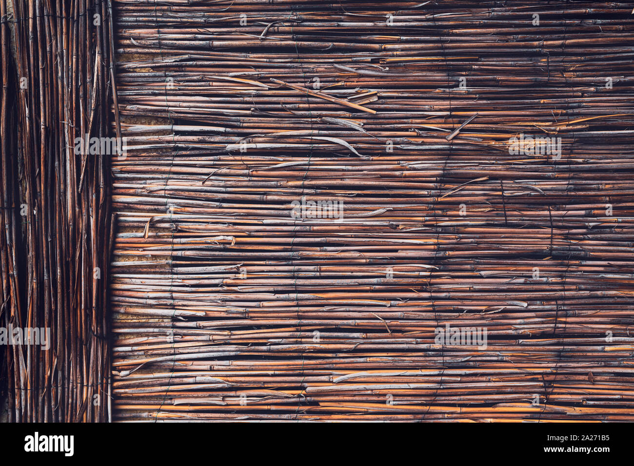 Reed texture hi-res stock photography and images - Alamy