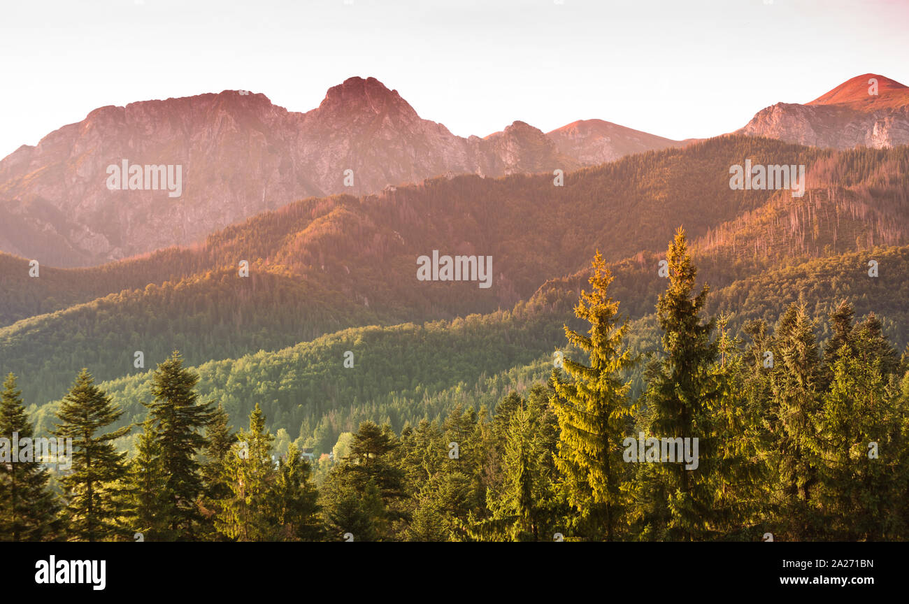 Tatranska lomnica autumn forest hi-res stock photography and images - Alamy