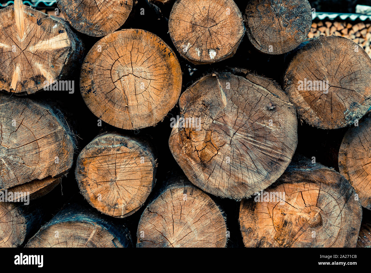Pile cut wood stump log hi-res stock photography and images - Alamy