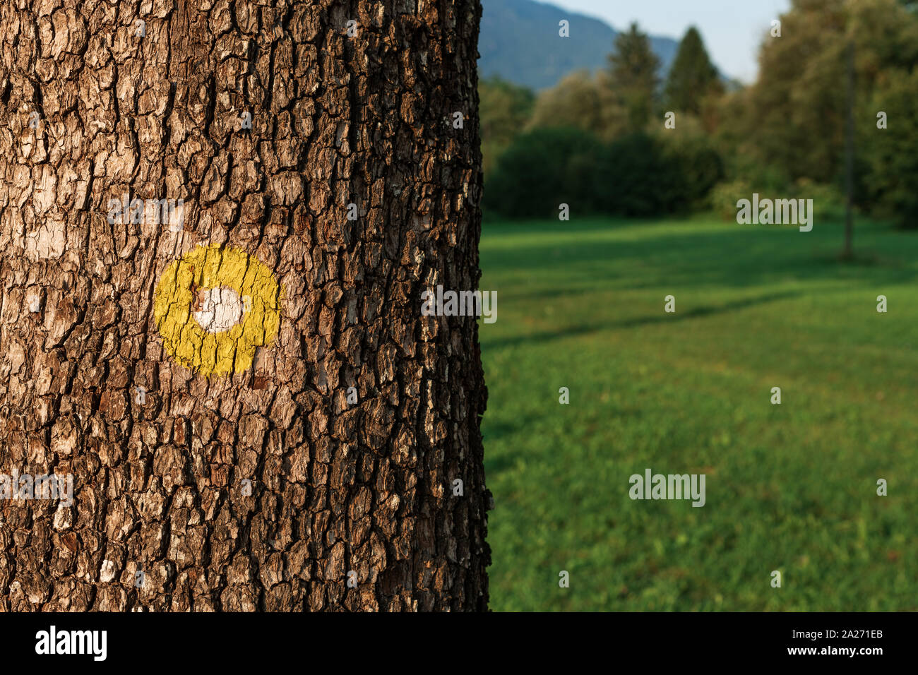 Marking blaze hi-res stock photography and images - Alamy