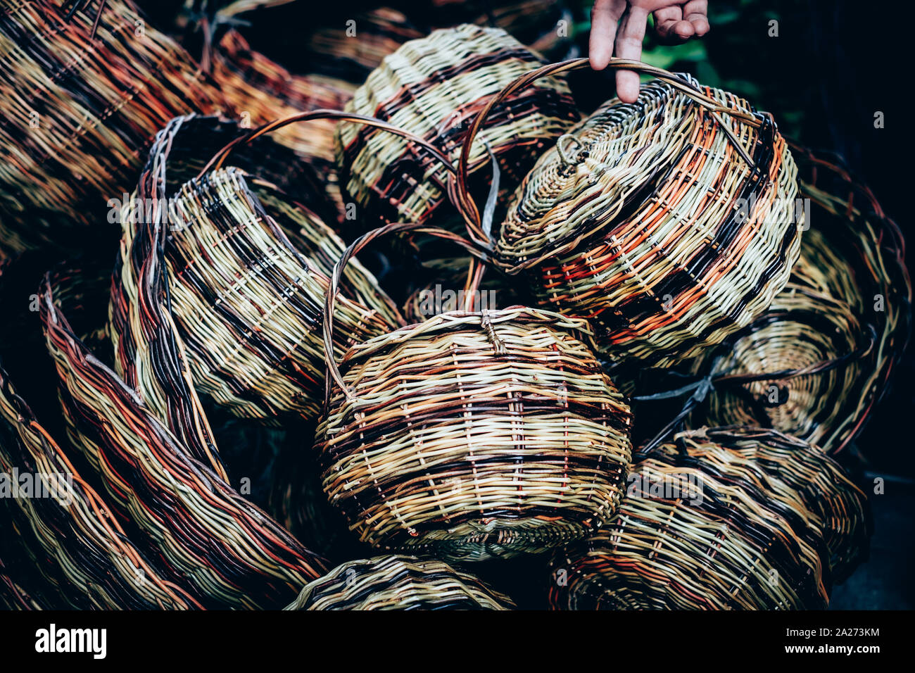 Rattan plant hi-res stock photography and images - Alamy