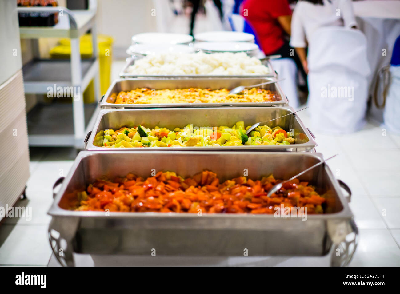 Array of dishes in stainless steel trays, like sweet and sour meat ...