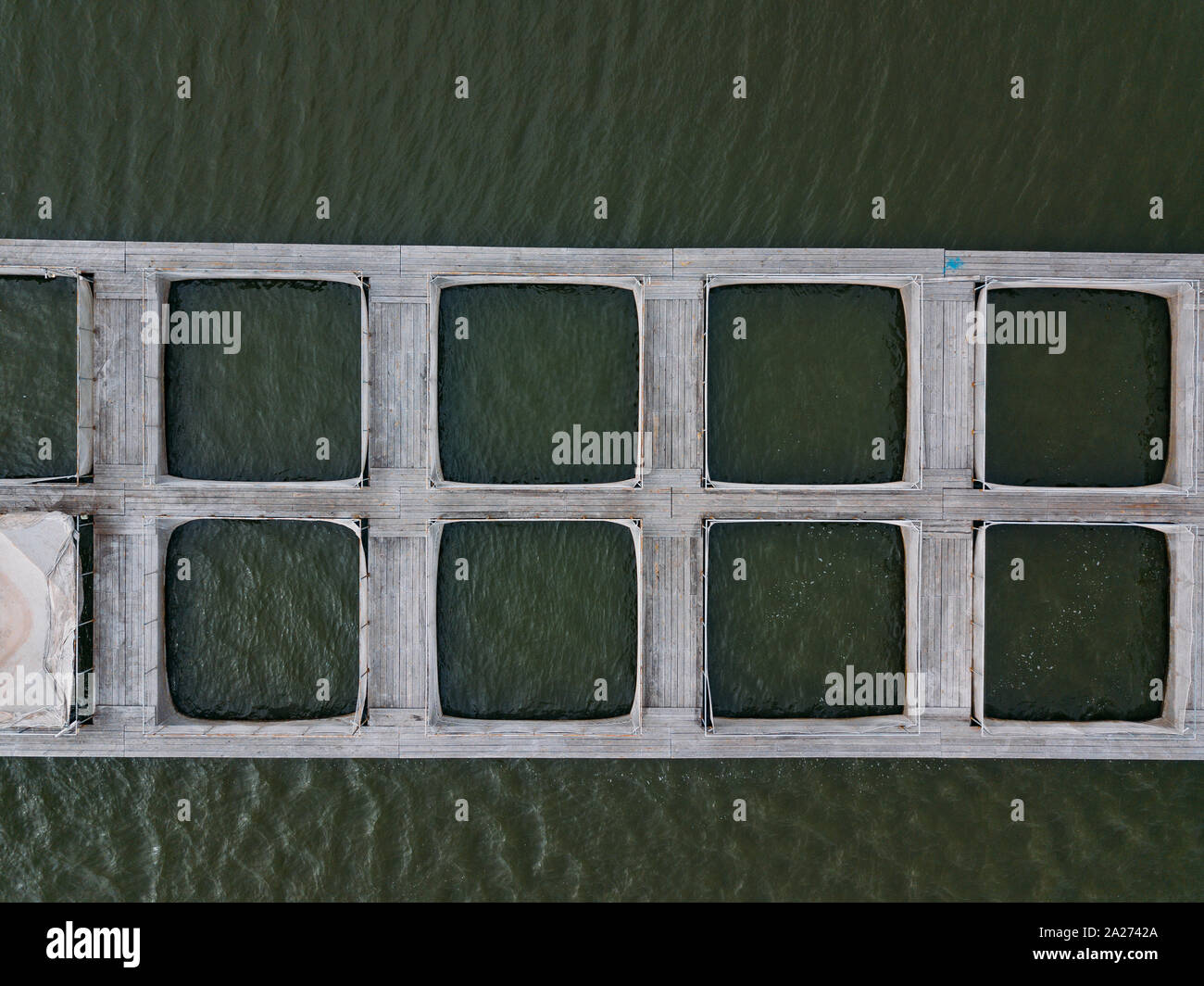 Salmon ranching hi-res stock photography and images - Alamy