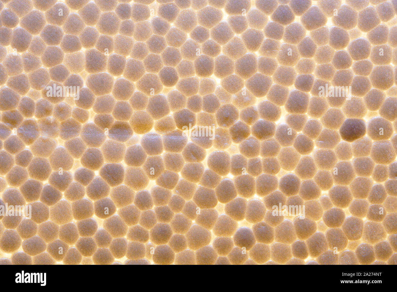 Polystyrene foam slice texture. Abstract background Stock Photo - Alamy