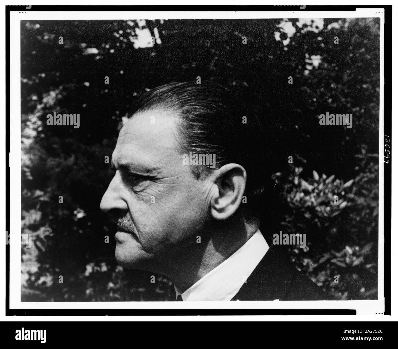 Classic british portrait Cut Out Stock Images & Pictures - Alamy