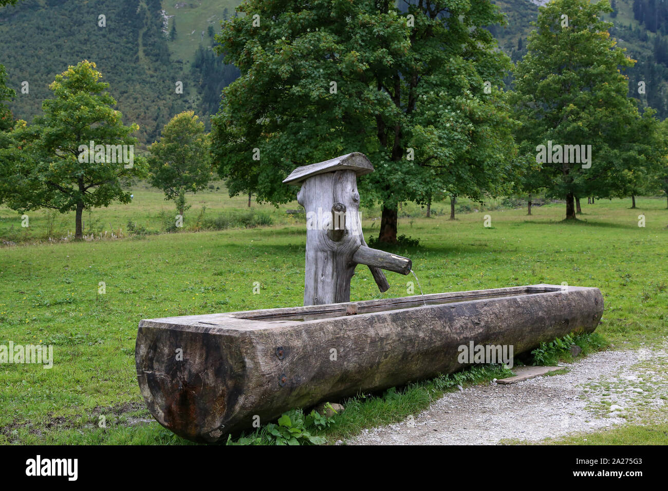Well and Water trough made out of tree trunk in the alps Stock Photo ...