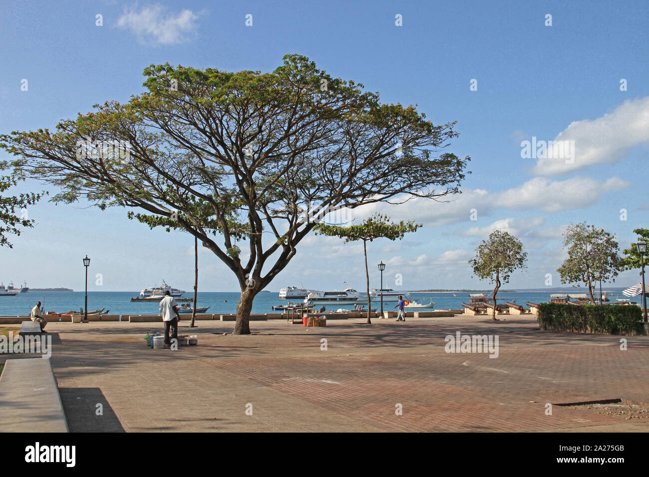 Forodhani Park on the Waterfront, Stone Town, Zanzibar, Unguja Island ...