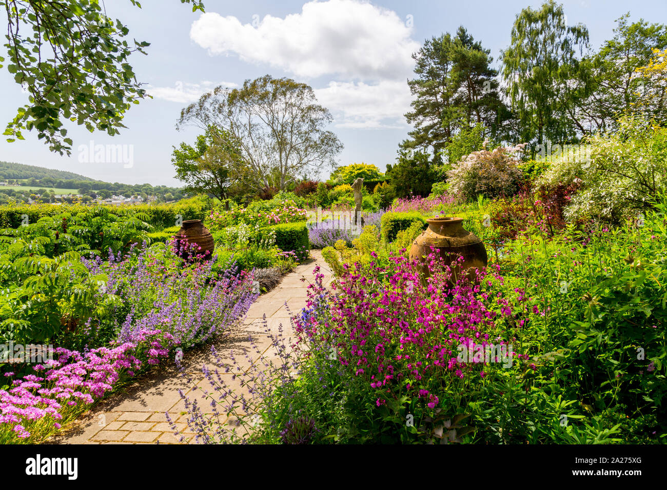 Popular garden shrubs hi-res stock photography and images - Alamy