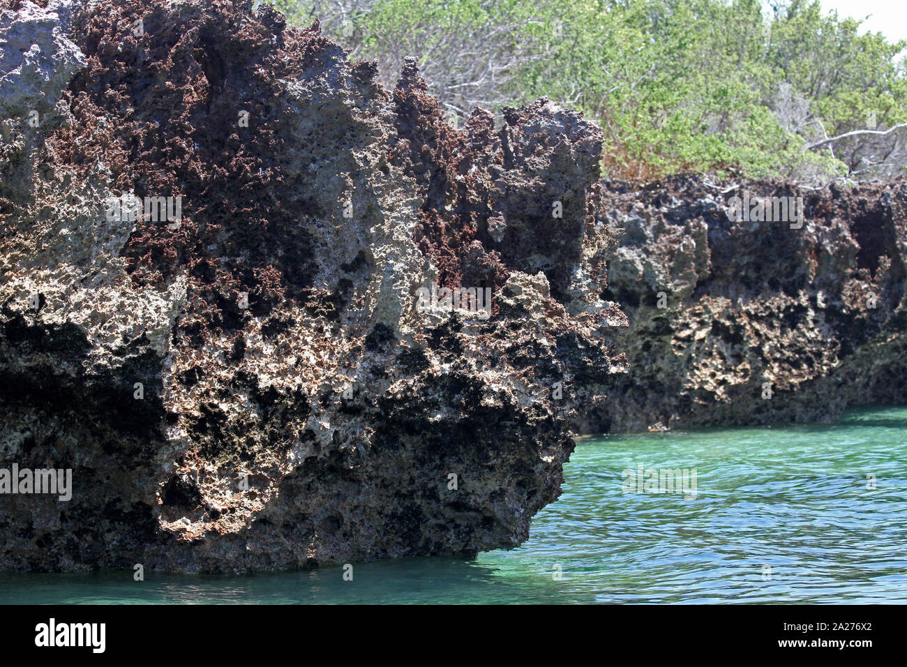 Rocky edge of a mangrove in ocean, off the coast of Zanzibar, Unguja ...