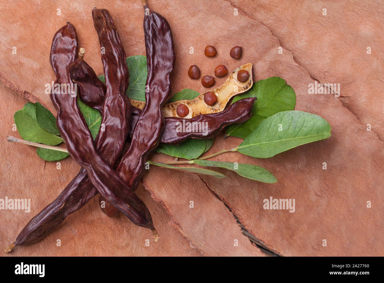 Carob. Organic carob pods with seeds and leaves on tree bark table ...