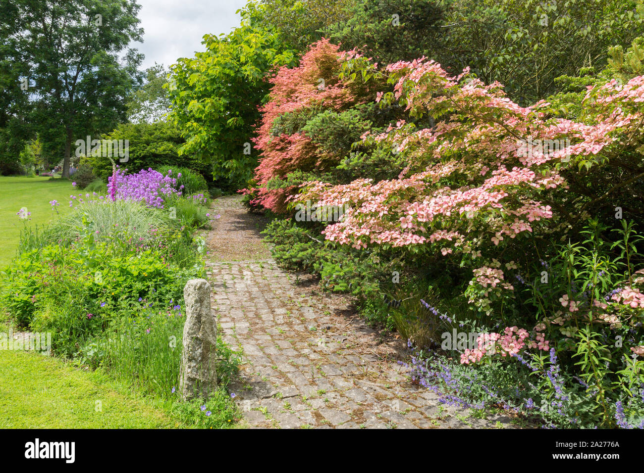 Colourful foliage and flowering shrubs and trees planted around an old ...