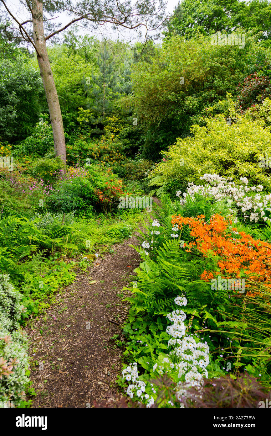Azalea gardens hi-res stock photography and images - Alamy