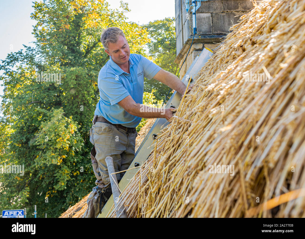 A Master Thatcher working on the roof of a village cottage repairing ...