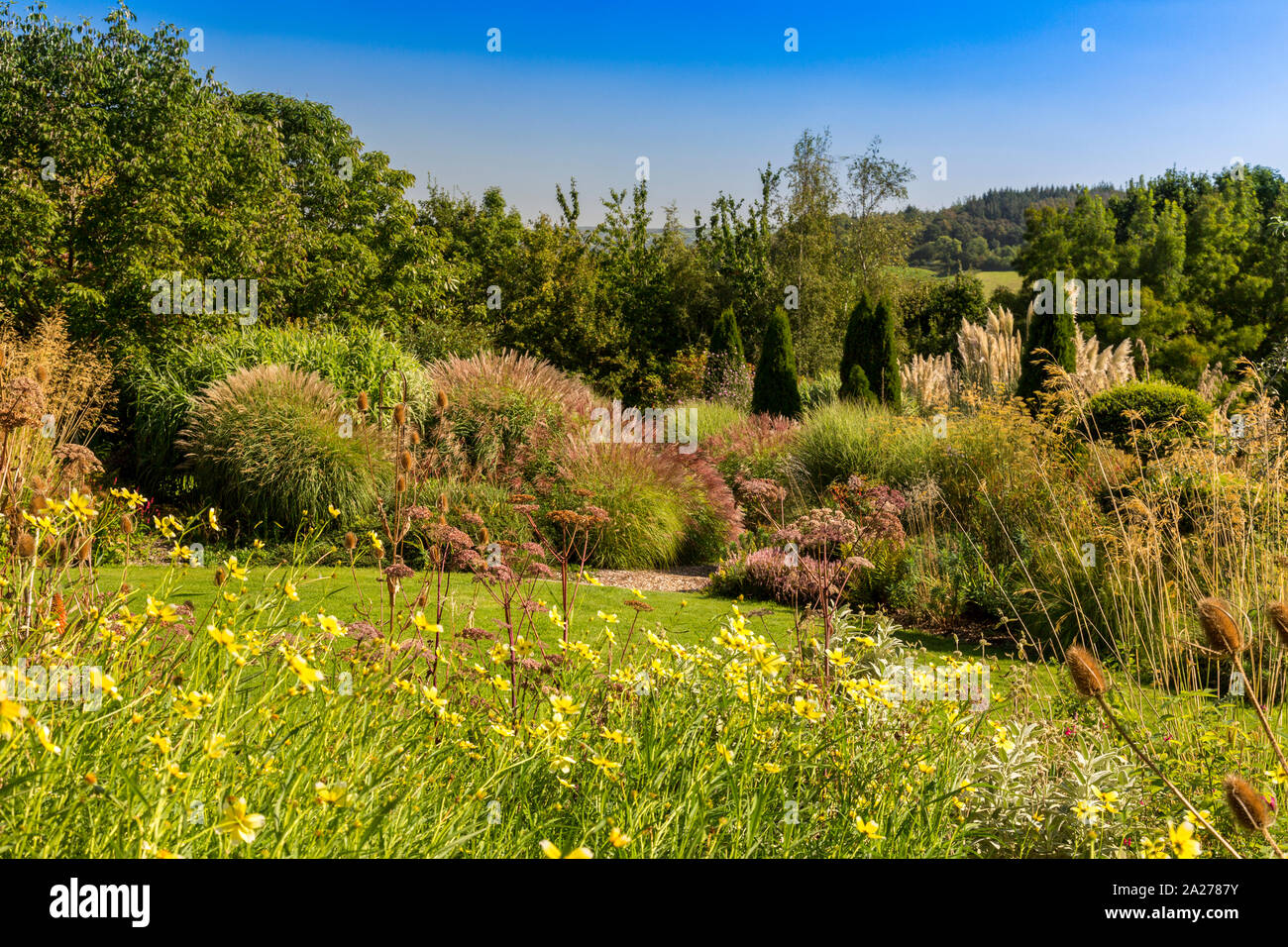 The Grasses Garden at Burrow Farm Gardens, near Axminster, Devon ...
