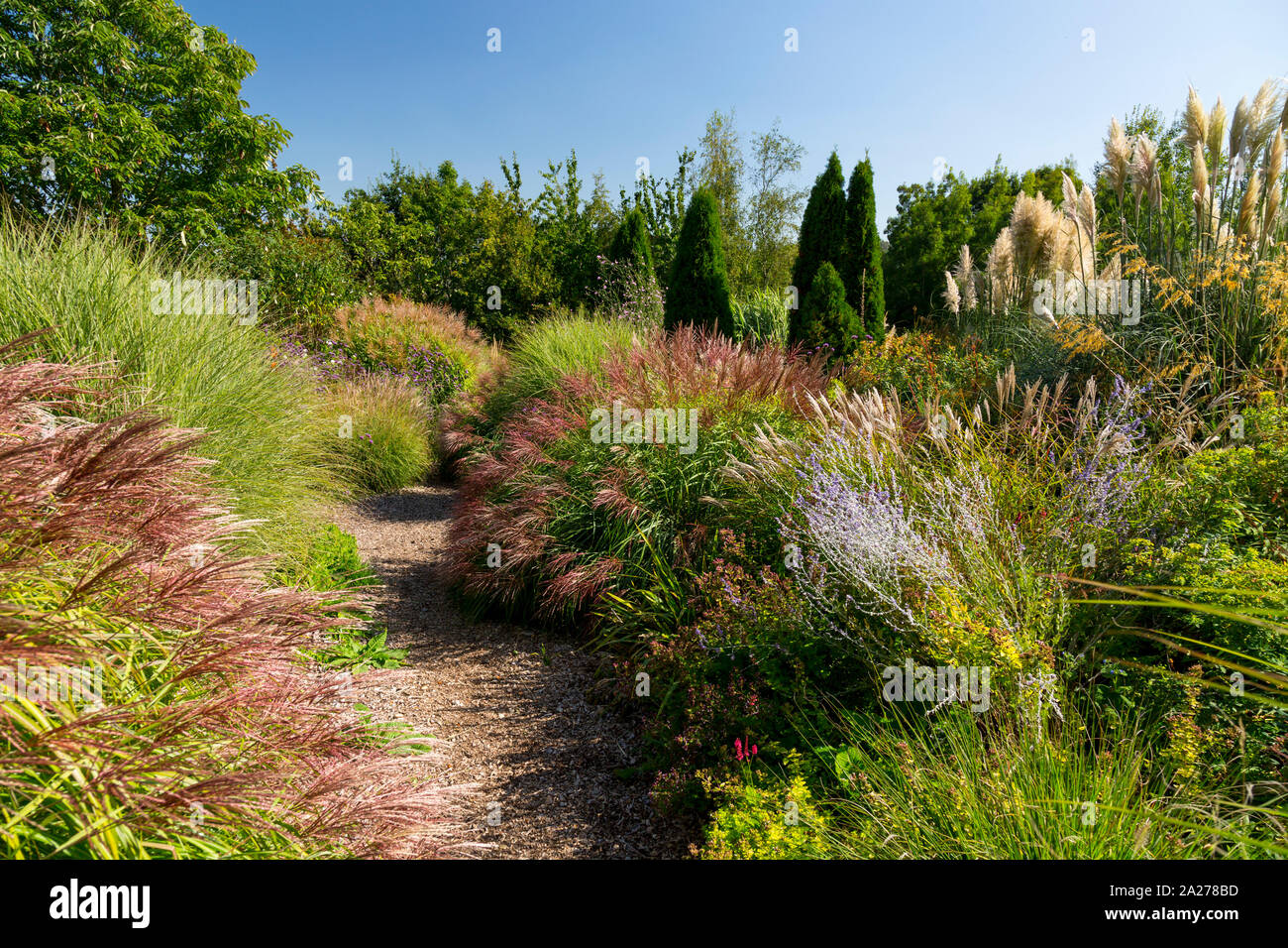 The Grasses Garden at Burrow Farm Gardens, near Axminster, Devon ...