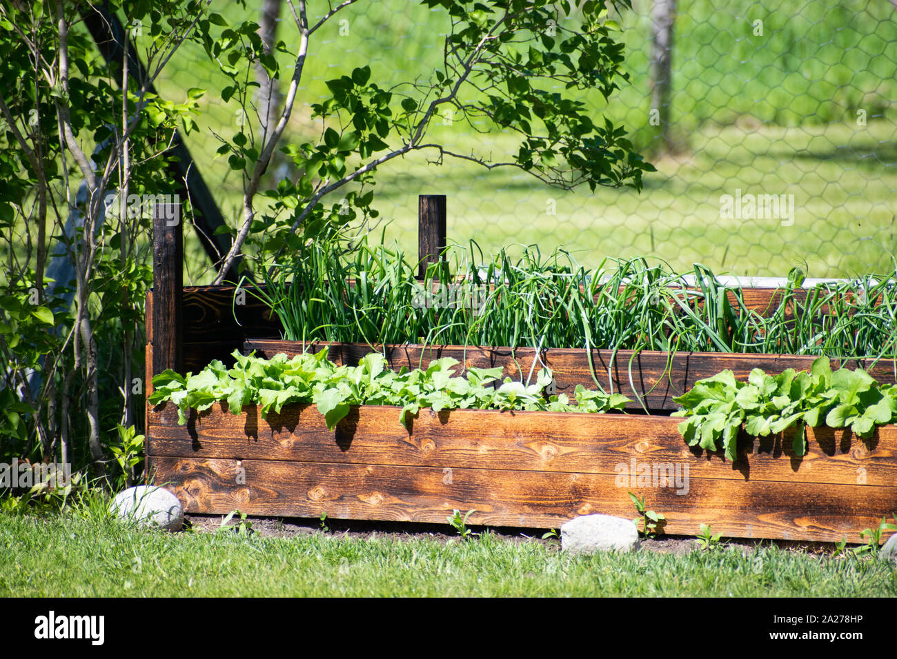Growing bench hi-res stock photography and images - Alamy
