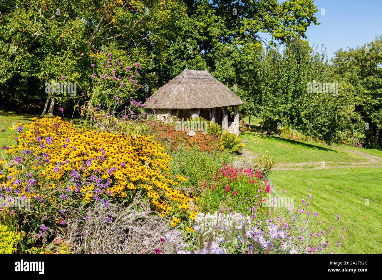 A mixed herbaceous border full of summer colour next to the thatched ...