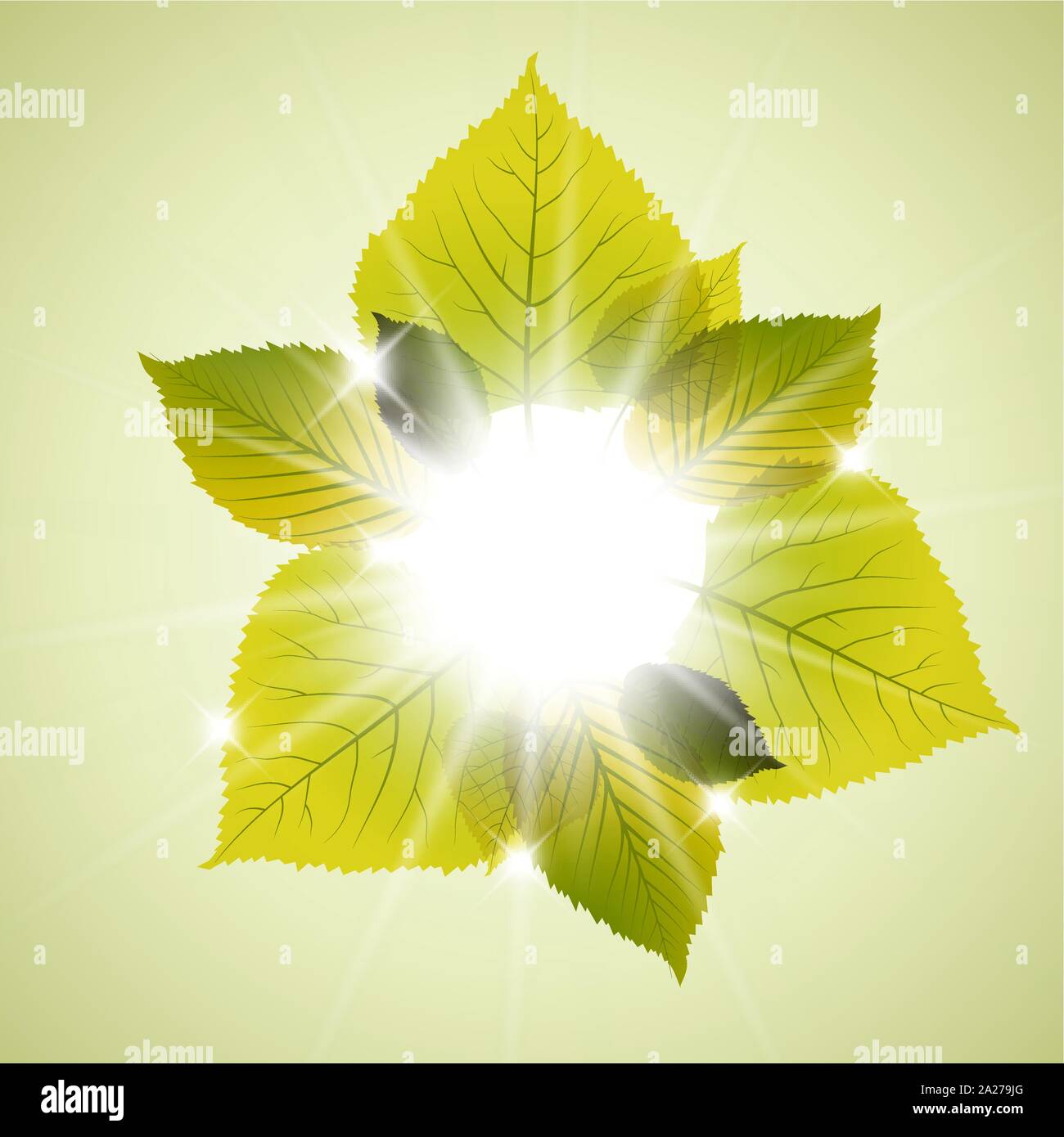 Spring sunny leafs abstract background with place for your text Stock ...