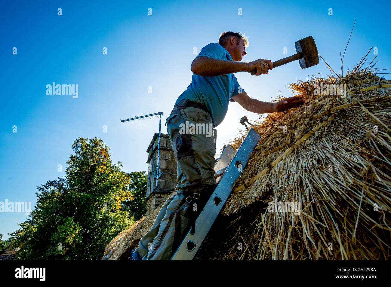 A Master Thatcher working on the roof of a village cottage repairing ...