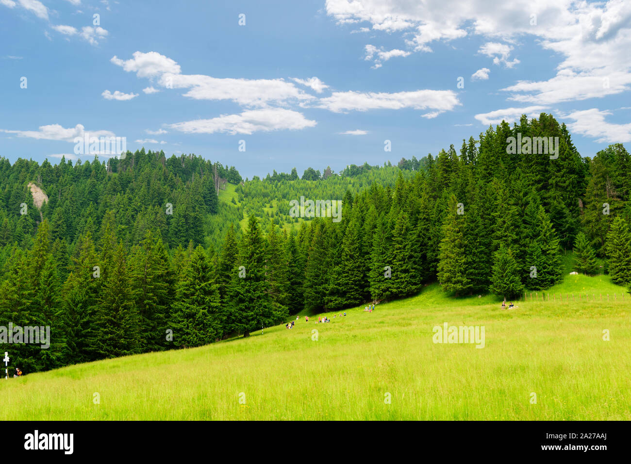 scenic landscape of sub mountain area with large open grass field and ...